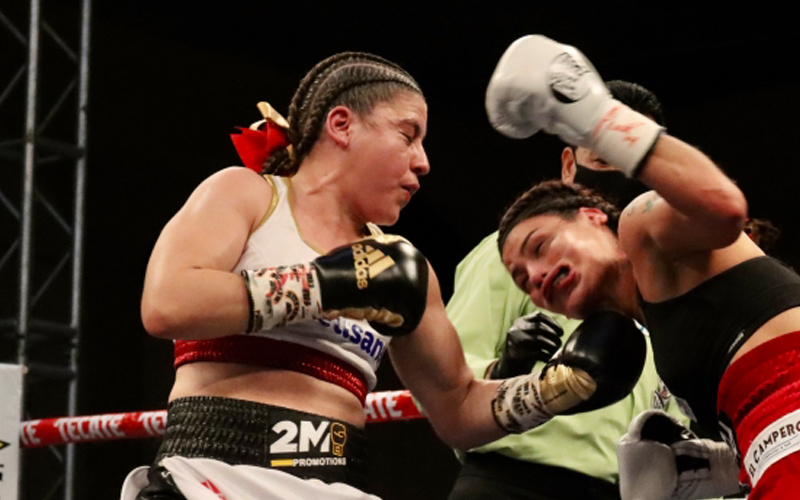 Traumatic tympanic membrane perforation in boxing-a case series - World ...