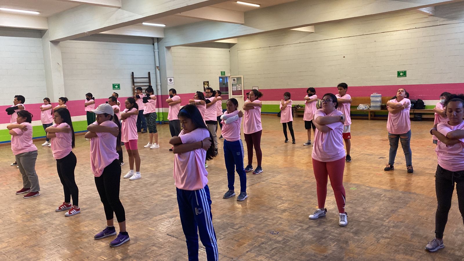 WBC Woman in the Fight Against Breast Cancer - World Boxing Council