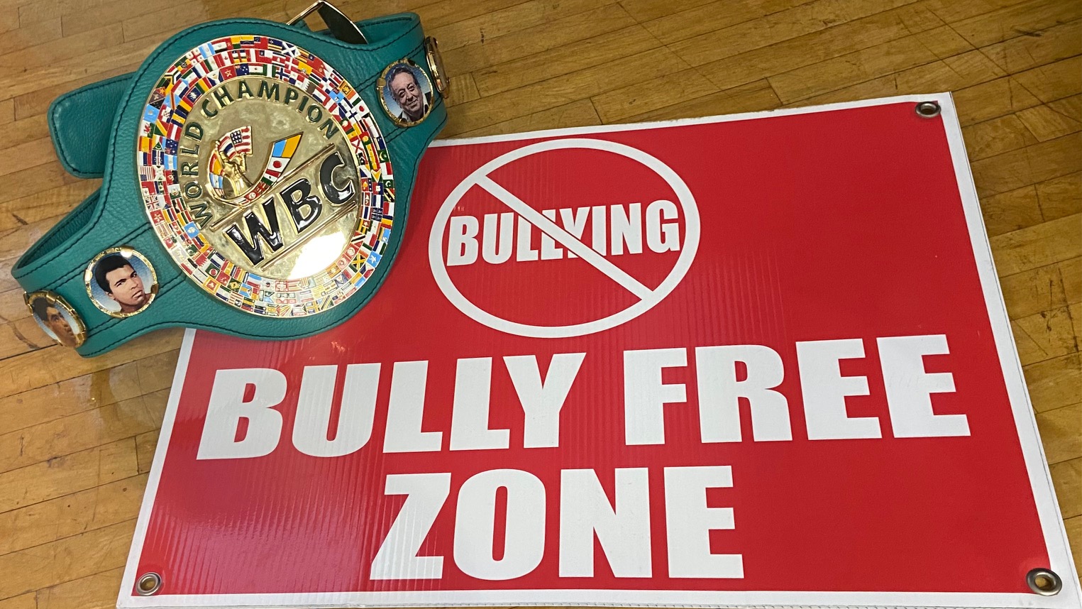 Boxing to prevent bullying - World Boxing Council