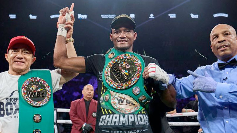 Alberto “La Avispa” Puello: Pride of Dominican Boxing and World ...