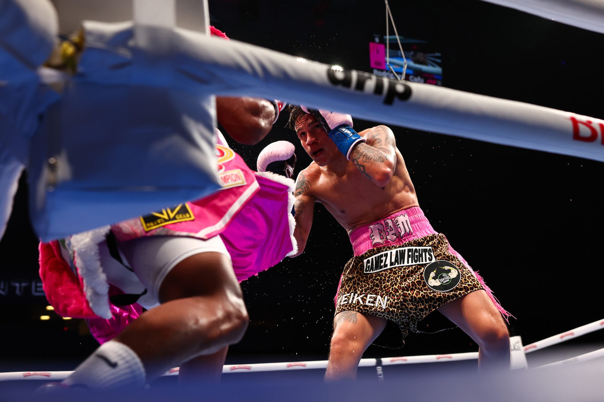 Jesse 'Bam' Rodriguez TKO’s tough Phumelela Cafu in ten - World Boxing Council