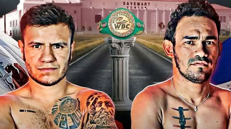 Badillo vs. Zapata: Latin Rivalry Towards the WBC Title - World Boxing ...