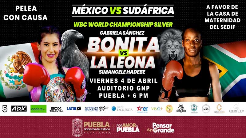 Bonita determined to repel “Smash” and grab raid on her Silverware ...