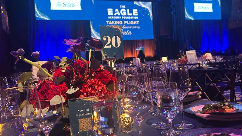 Soaring with Eagles! - World Boxing Council